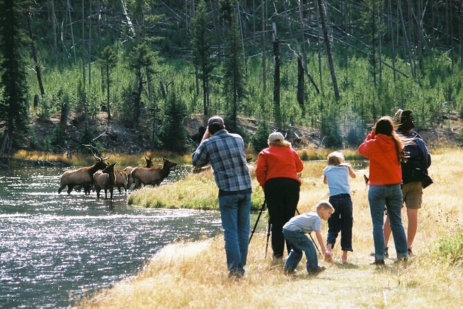 Yellowstone Grand Tour: See All Yellowstone In One Day - FAQ  