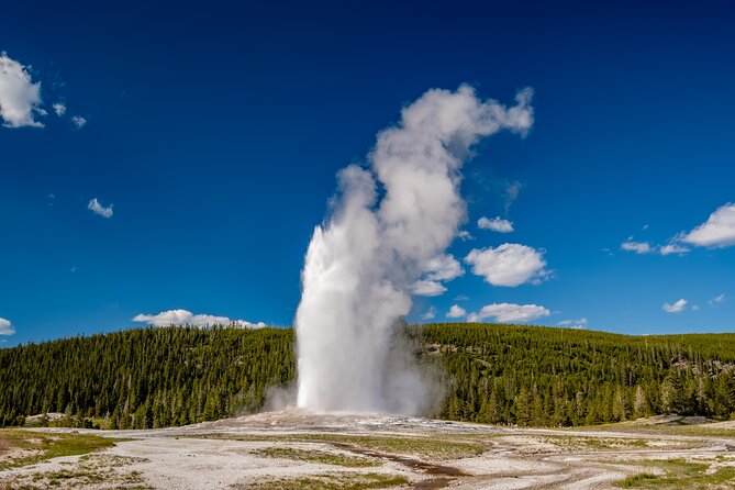 Yellowstone in a Day - Grand Loop Yellowstone Tour - A Deep Dive into the Yellowstone in a Day Tour