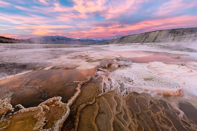 Yellowstone in a Day - Wildlife, Canyons, & Hot Springs - Why This Tour Works for You