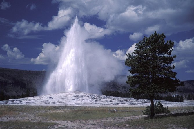 Yellowstone Lower Loop Full-Day Tour - FAQ