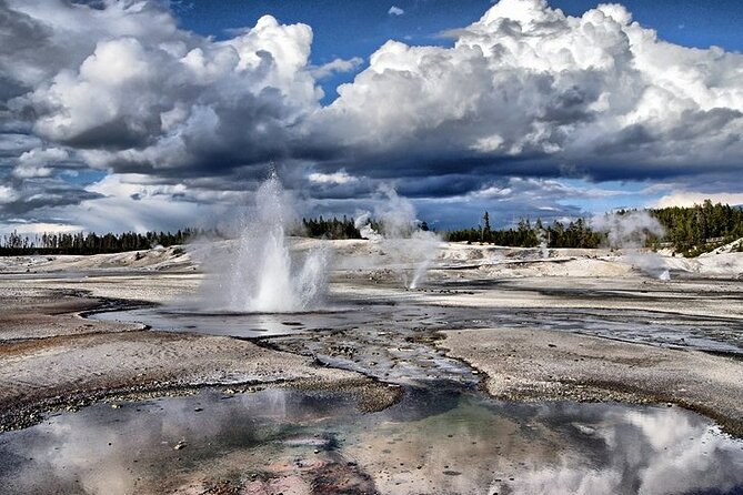 Yellowstone Lower Loop VIP Full-Day Private Tour with Lunch - Who Is This Tour Best For?