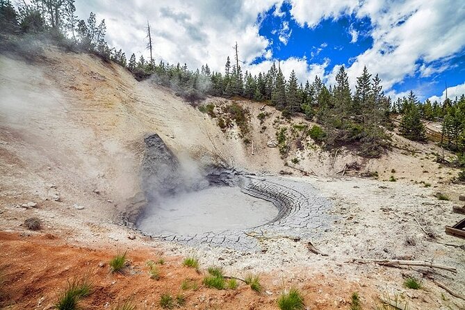 Yellowstone Lower Loop VIP Full-Day Private Tour with Lunch - The Sum Up