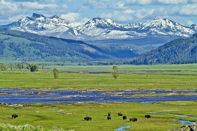 Yellowstone Lower Loop VIP Full-Day Private Tour with Lunch - FAQ