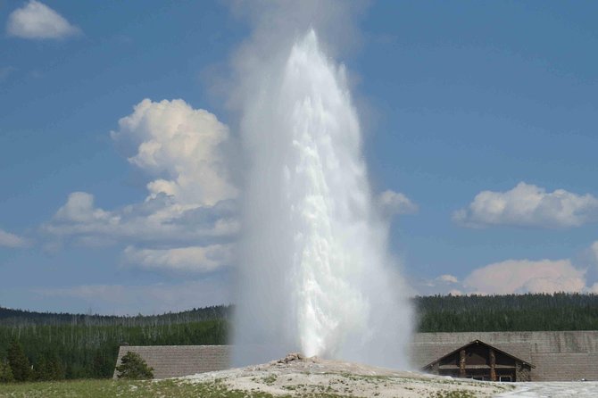 Yellowstone National Park - Full-Day Lower Loop Tour from Jackson - A Detailed Look at the Itinerary and Experience  