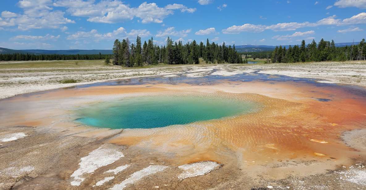 Yellowstone National Park Private Day Tour - The Sum Up