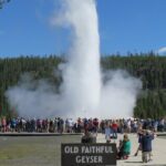 Yellowstone National Park - PRIVATE Full-Day Lower Loop Tour from Jackson Hole - A Detailed Breakdown of the Itinerary