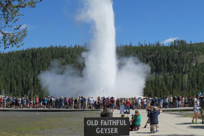 Yellowstone National Park - PRIVATE Full-Day Lower Loop Tour from Jackson Hole - A Detailed Breakdown of the Itinerary