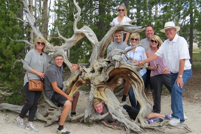 Yellowstone National Park - PRIVATE Full-Day Lower Loop Tour from W. Yellowstone - Key Points