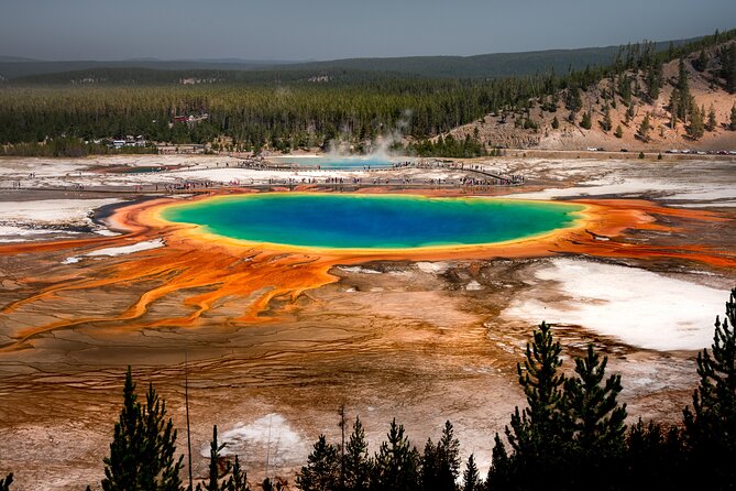 Yellowstone National Park Private Guided Tour - Full Day - Key Points