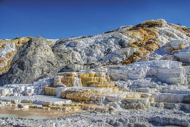 Yellowstone National Park - PRIVATE Upper Loop Tour from West Yellowstone - What Sets This Tour Apart?