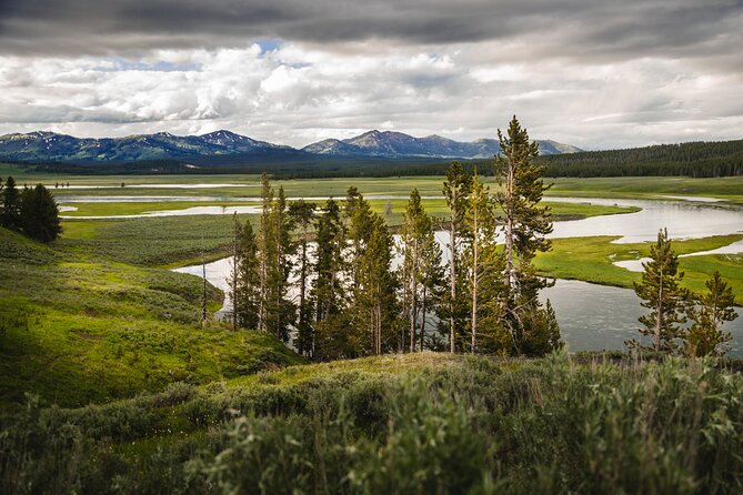 Yellowstone National Park Tour from Jackson Hole - FAQ