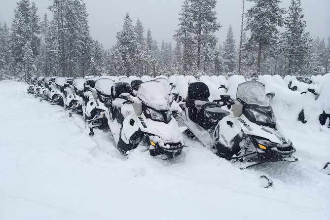 Yellowstone Old Faithful Full-Day Snowmobile Tour from Jackson Hole - Who Should Consider This Tour?