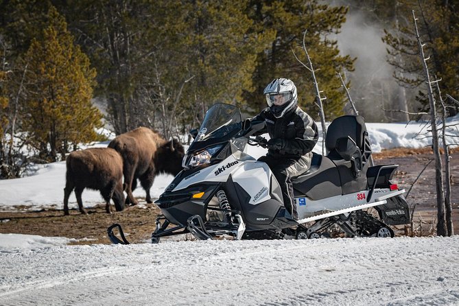 Yellowstone Old Faithful Full-Day Snowmobile Tour from Jackson Hole - FAQs