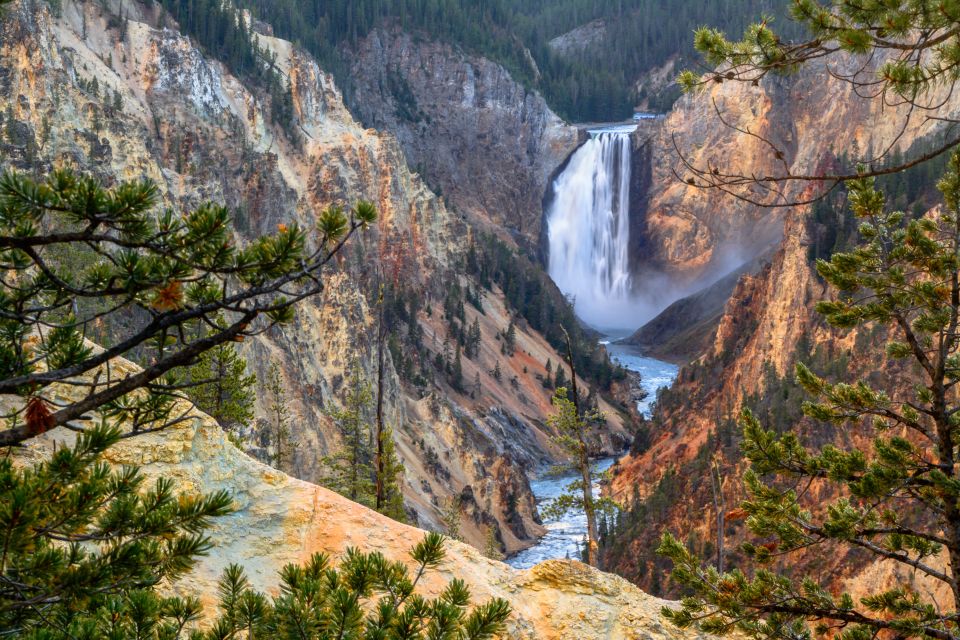 Yellowstone: Old Faithful, Waterfalls, and Wildlife Day Tour - An In-Depth Look at the Yellowstone Day Tour