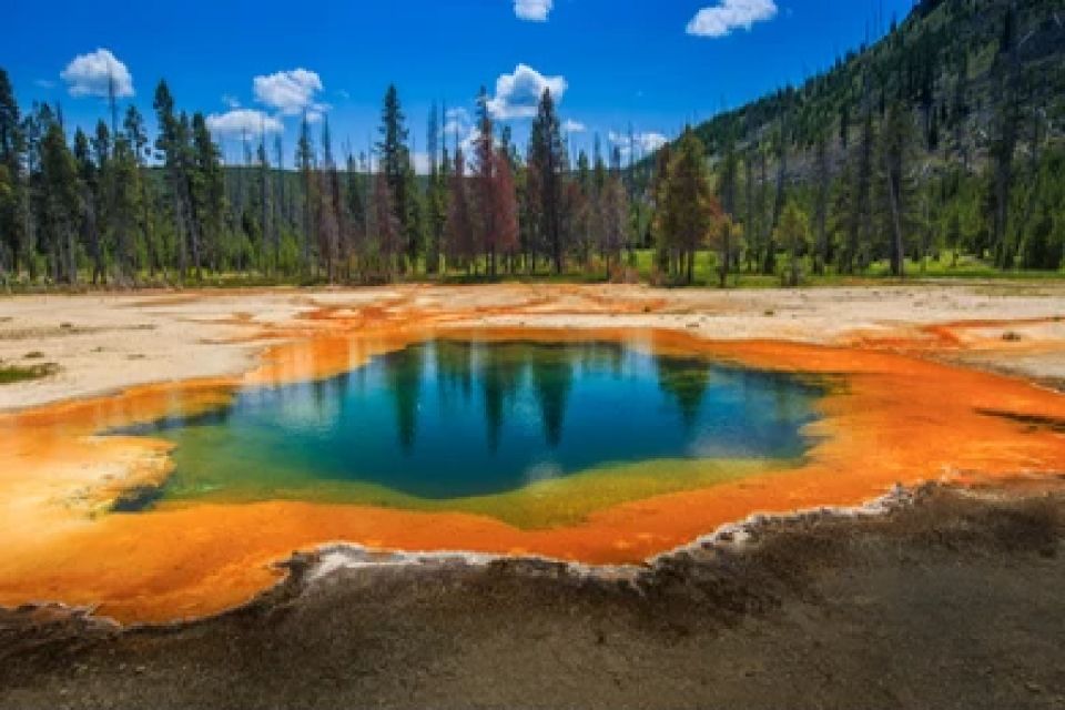 Yellowstone: Old Faithful, Waterfalls, and Wildlife Day Tour - The Sum Up