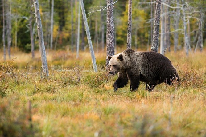 Yellowstone Private Full Day Tour - Exploring the Itinerary in Detail