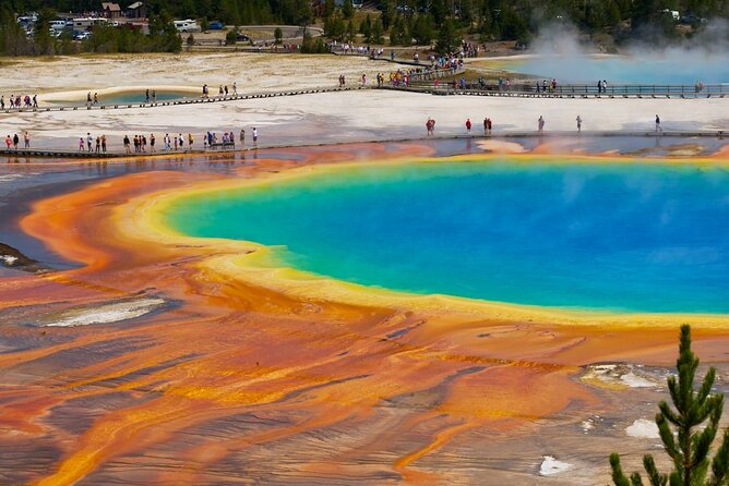Yellowstone: Private Guided Tour - What You Can Expect