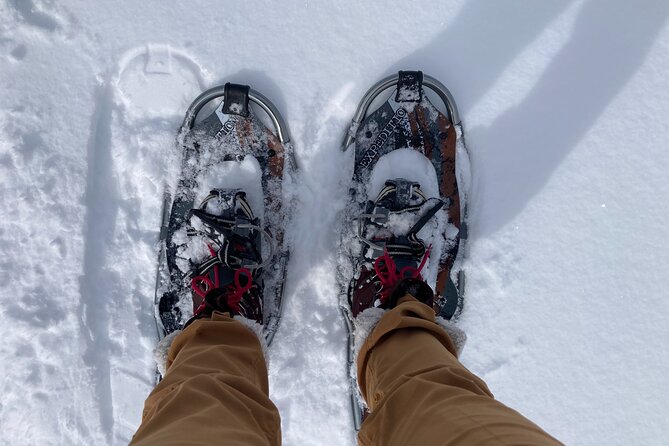 Yellowstone Snowshoe Adventure - Private Tour from Jackson Hole - Final Thoughts