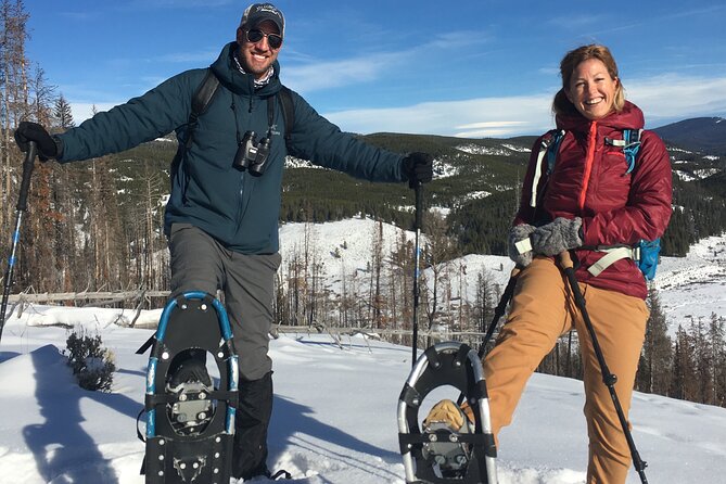 Yellowstone Snowshoe Safari from Bozeman - Private Tour - The Itinerary Breakdown