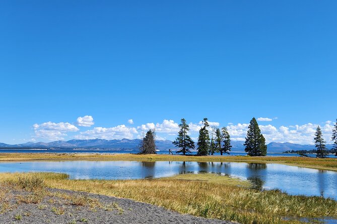 Yellowstone Wildlife Tour - Key Points