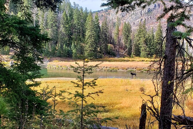 Yellowstone Wildlife Tour - The Sum Up: Who Will Love This Tour?