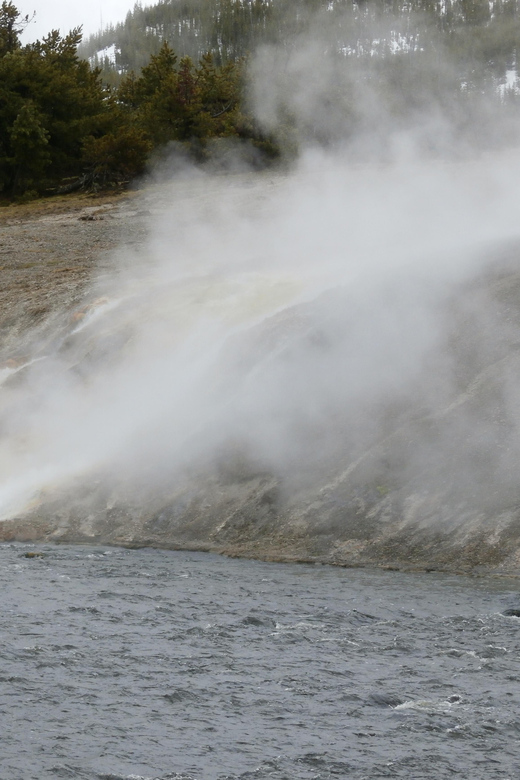 Yellowstone Wildlife Tours: From West Yellowstone Montana - Who Is This Tour Best Suited For?