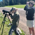 Yellowstone's Lamar Valley Wildlife Safari from Gardiner - The Sum Up