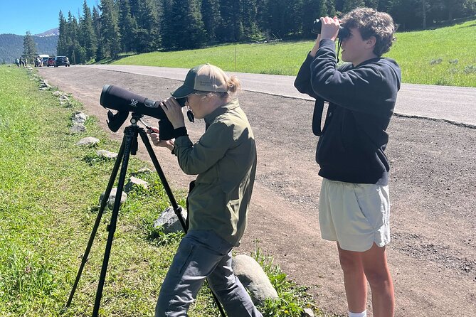Yellowstone's Lamar Valley Wildlife Safari from Gardiner - The Sum Up