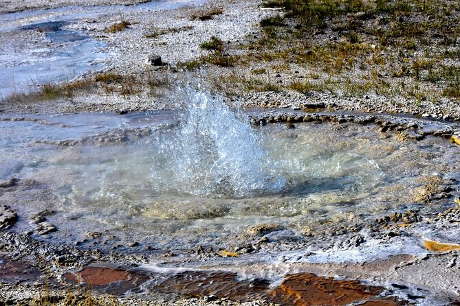 Yellowstone's Old Faithful Self-Guided Walking Tour - The Sum Up: Who Will Love This Tour?