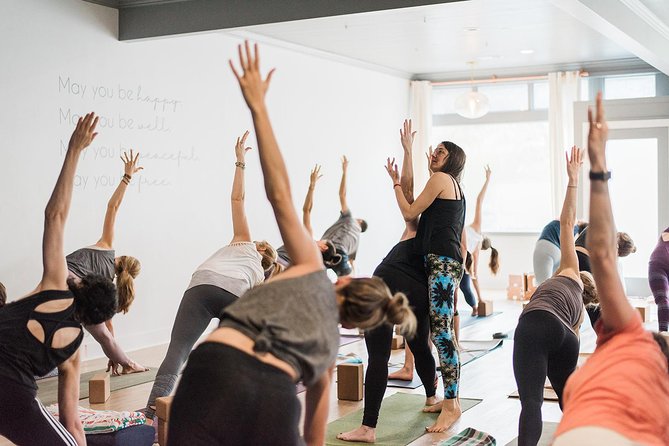 Yoga Classes - An Introduction to the Corte Madera Yoga Experience