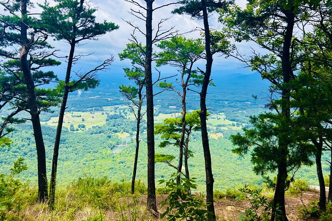 Yonah Mountain Hike Private Tour in Georgia - Exploring the Yonah Mountain Private Tour