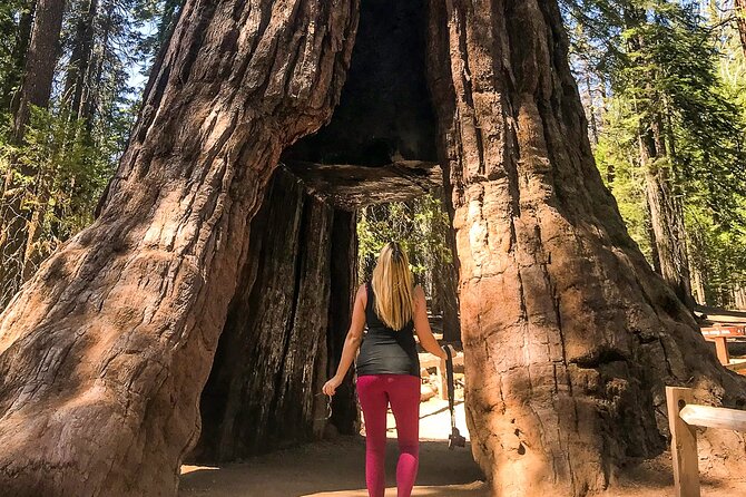 Yosemite 3-Day Camping Adventure from San Francisco - An In-Depth Look: What’s Included and What to Expect