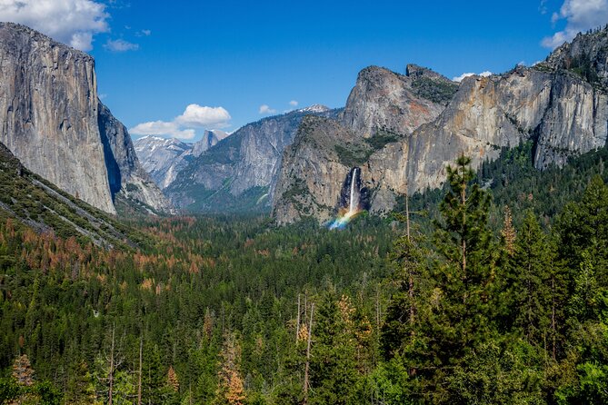 Yosemite and Giant Sequoias Day Tour - Who Is This Tour Best For?