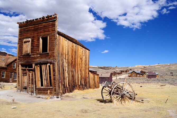 Yosemite and Tahoe from San Francisco: 4 Day Sierra Nevada Tour - Who This Tour Is Perfect For