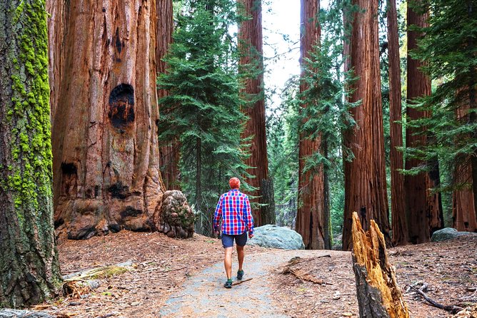 Yosemite and Tahoe from San Francisco: 4 Day Sierra Nevada Tour - Frequently Asked Questions