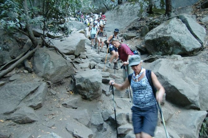 Yosemite Day Hike from Glacier Point Including Panorama Trail - A Comprehensive Look at the Yosemite Day Hike