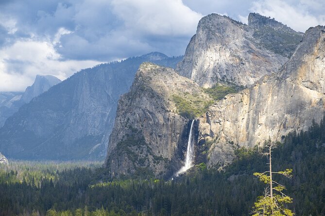 Yosemite Day Tour + Alcatraz Night Tour & Aquarium Access - Authentic Insights from Past Travelers