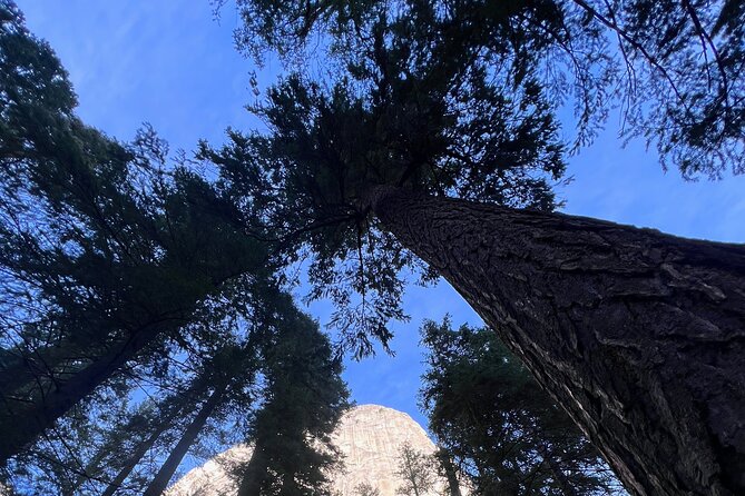 Yosemite Day Trip to 3 Waterfalls with Views from San Francisco - Introduction: A Day in Yosemite with a Personal Touch