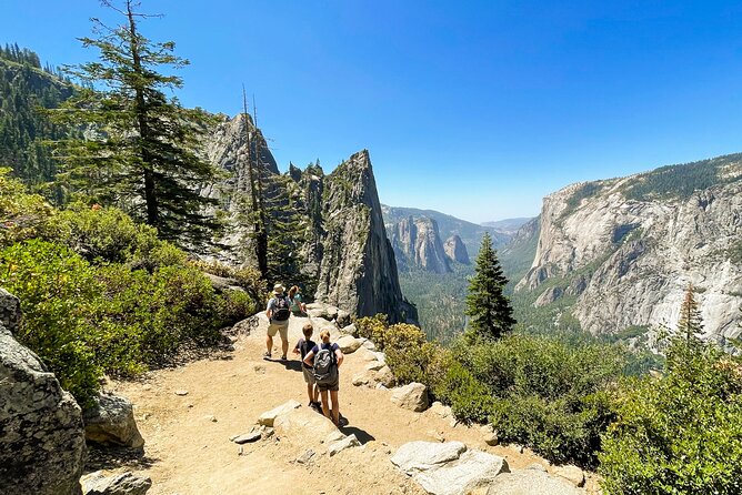 Yosemite Family Explorers - Customizable Private Tour - Who Should Book This Tour?