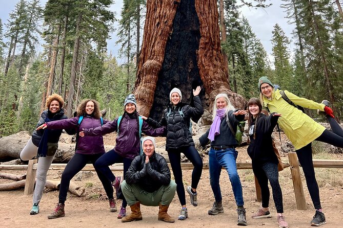 Yosemite Full Day Private Tour - Why Consider This Yosemite Tour?
