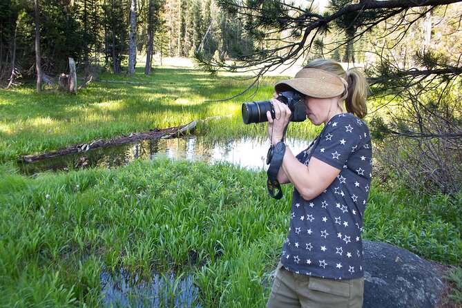 Yosemite Full Day Private Tour - What’s Included and What to Budget For