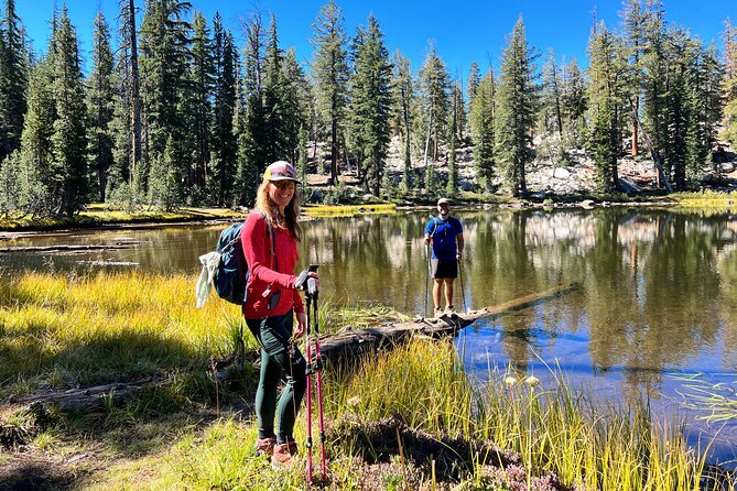 Yosemite Full Day Private Tour - The Sum Up