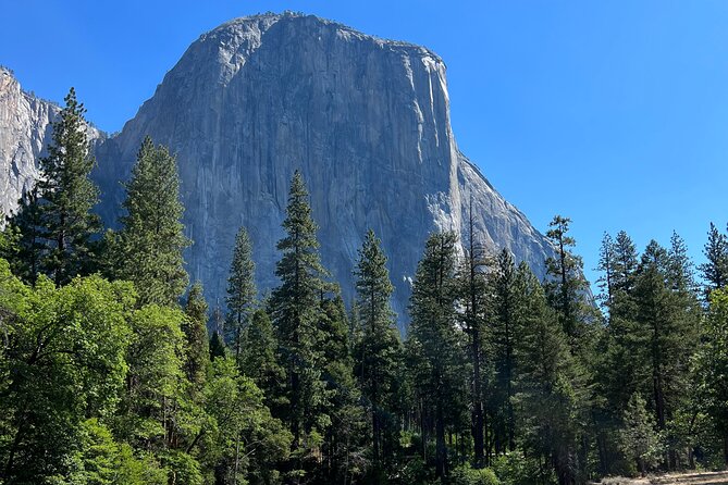 Yosemite Full Day Private Tour - FAQ