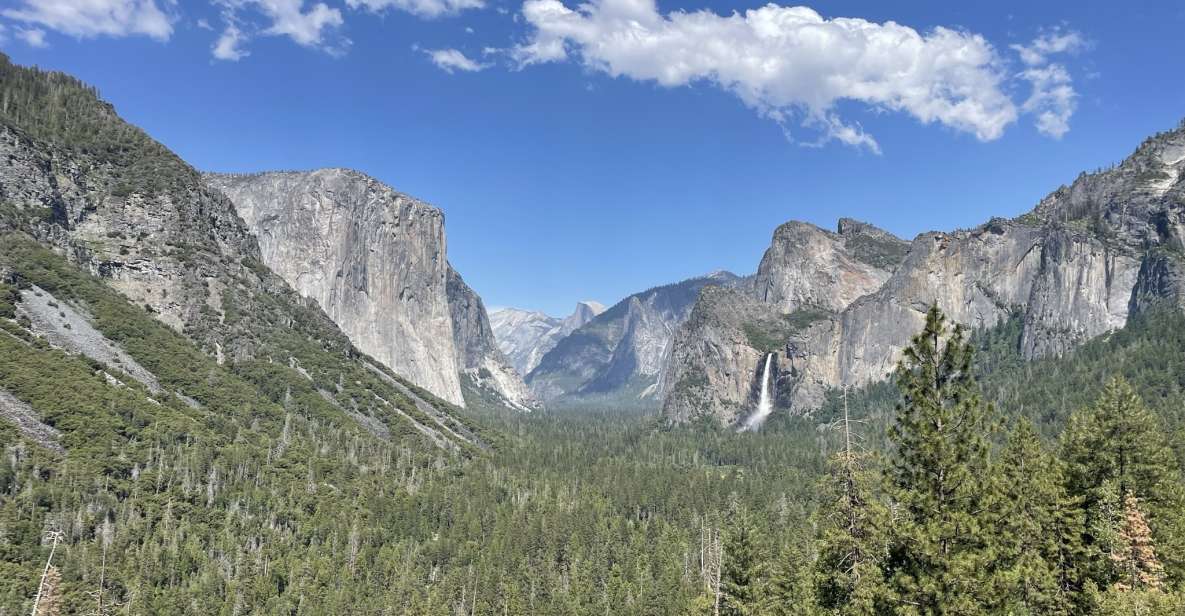 Yosemite, Giant Sequoias, Private Tour from San Francisco - Key Points