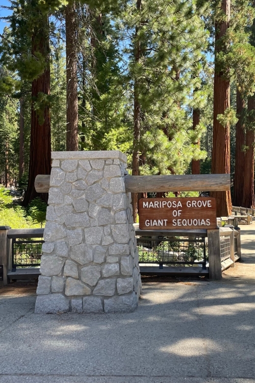 Yosemite, Giant Sequoias, Private Tour from San Francisco - An In-Depth Look at the Tour Experience