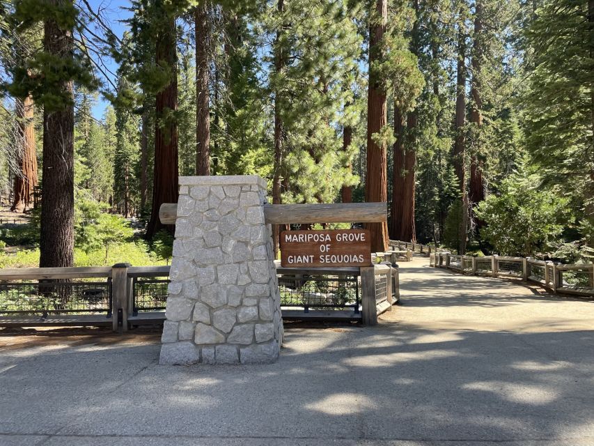 Yosemite, Giant Sequoias, Private Tour from San Francisco - Why This Tour Works for You