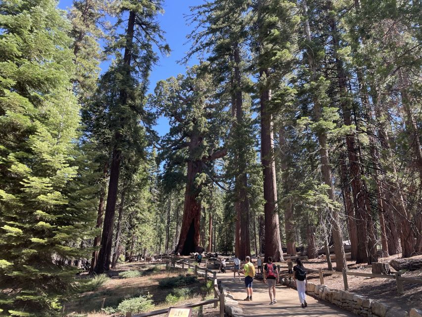 Yosemite, Giant Sequoias, Private Tour from San Francisco - FAQ