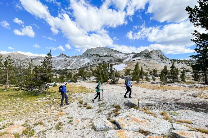 Yosemite: High Country Explorer - Private Hiking Tour - What Past Travelers Say