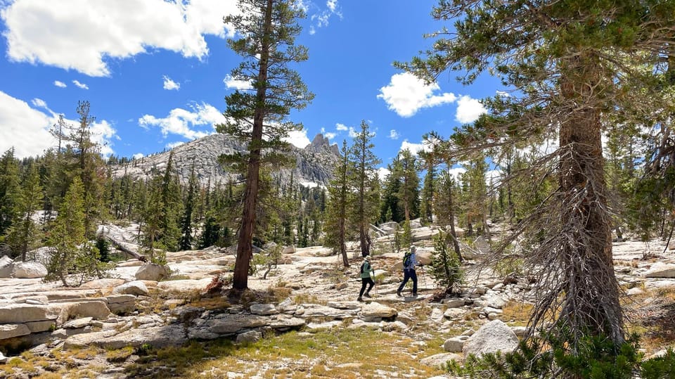 Yosemite: High Country Explorer - Private Hiking Tour - What Travelers Say