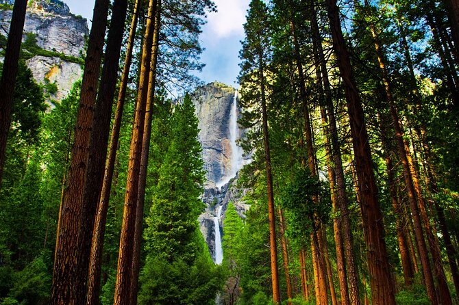 Yosemite Highlights: 5-Day Tour from San Francisco - FAQ